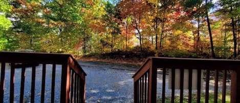 Terraço/pátio interior