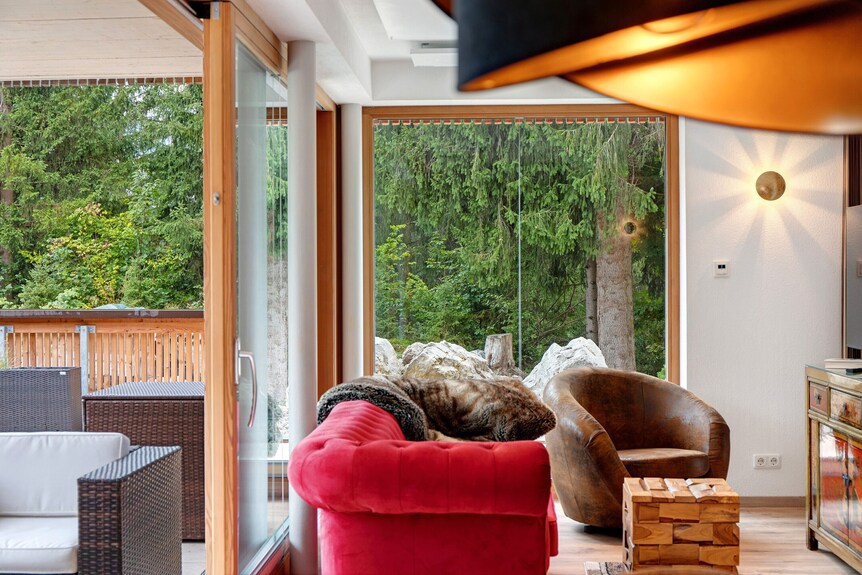 Appartement 'Zugspitzstudio' Avec Vue Sur La Montagne, Terrasse Privée Et Wi-fi - Ehrwald