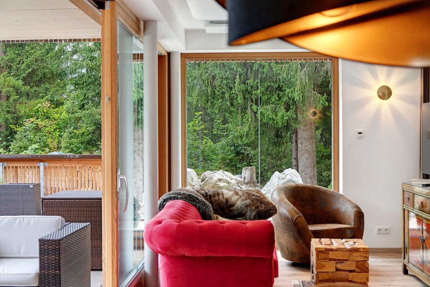 Appartement 'Zugspitzstudio' Avec Vue Sur La Montagne, Terrasse Privée Et Wi-fi - Ehrwald