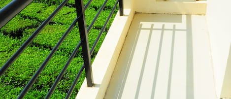 Vista para o jardim