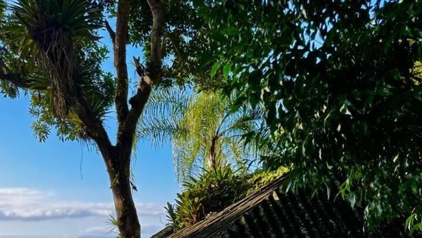 Uma área de estar coberta ao ar livre com vista para o mar, mobiliário de madeira e uma rede.