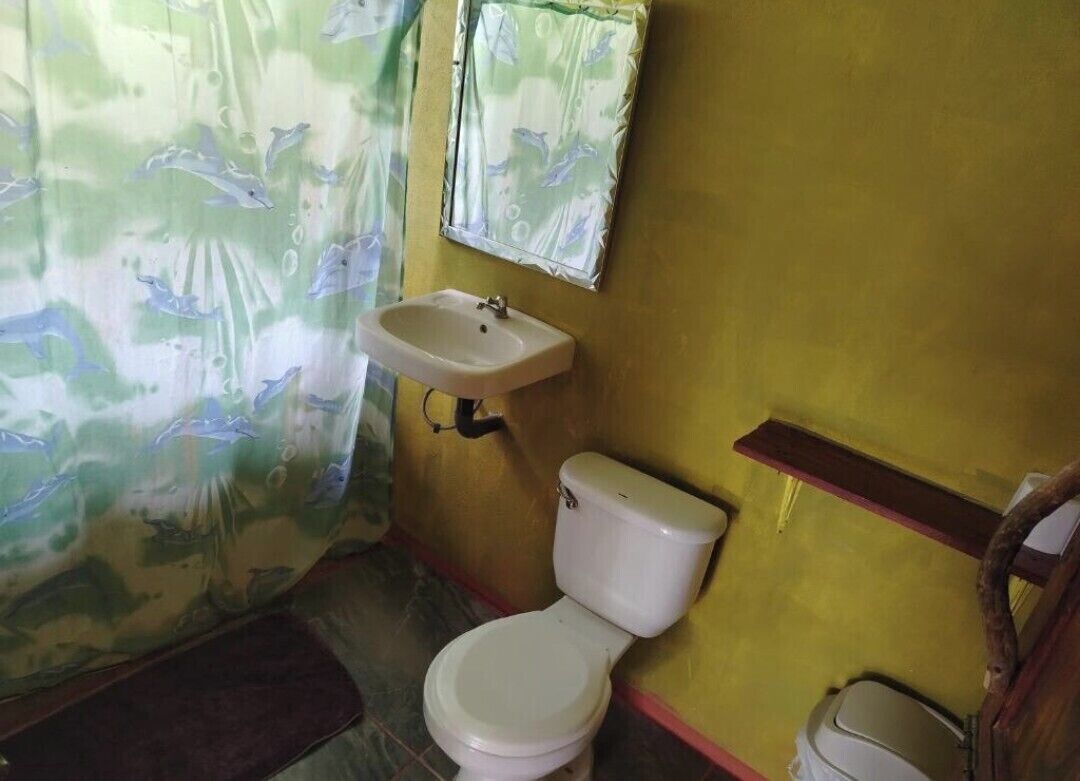 Casa de banho com sanita, lavatório e cortina de chuveiro.
