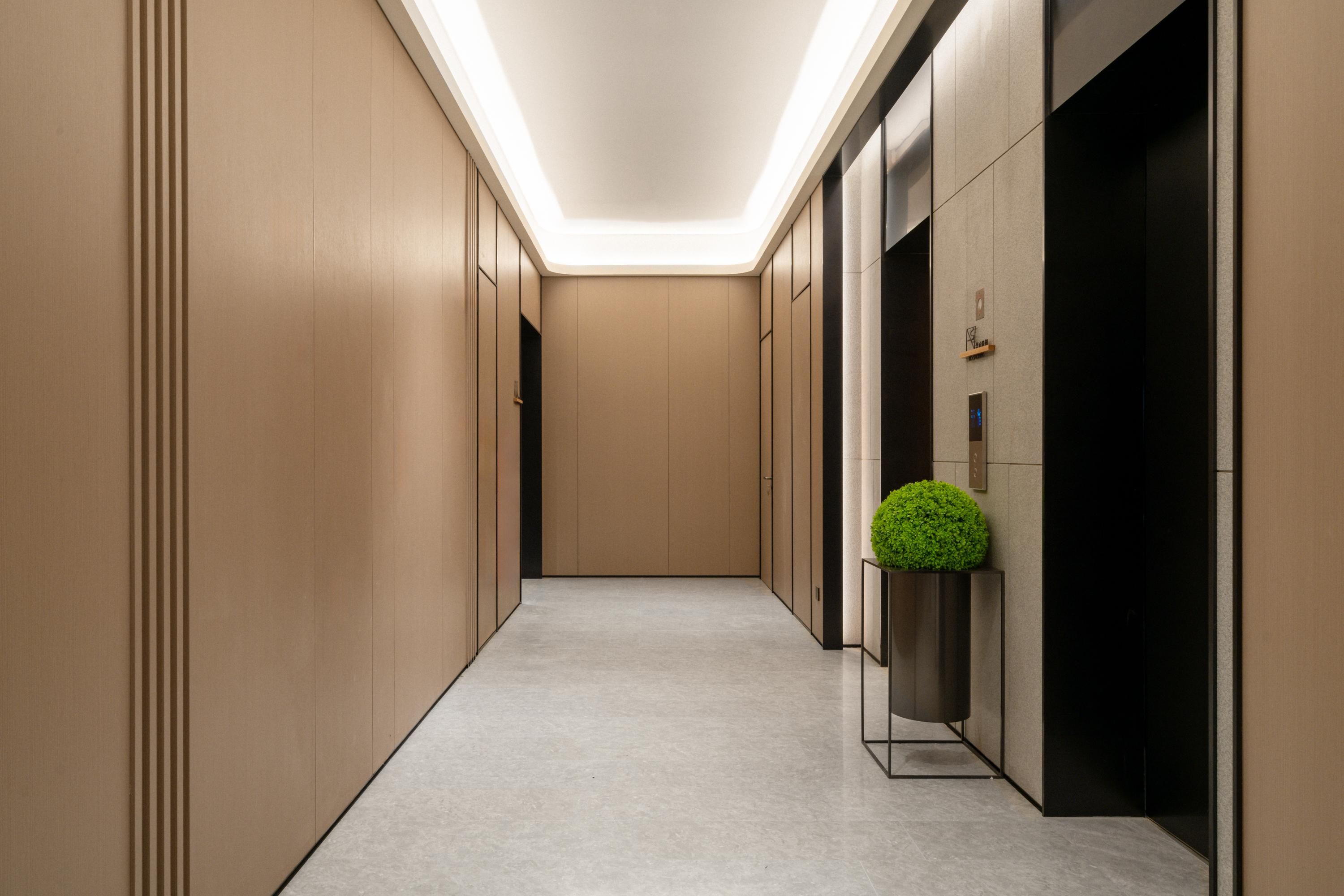Um corredor moderno com piso claro, painéis de madeira e uma pequena planta verde em suporte de metal.