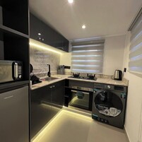 Apartamento Familiar, varanda, Vista para a cidade | Cozinha privada | Um frigorífico, um micro-ondas, um forno, uma placa de cozinha 