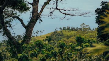 Vista da propriedade