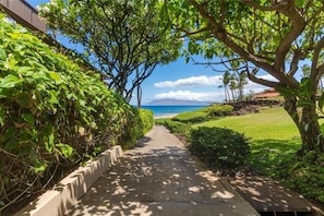 Condo, 2 quartos | Área da propriedade