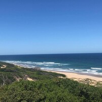 Paisagem costeira com praia, ondas do oceano e vegetação densa.