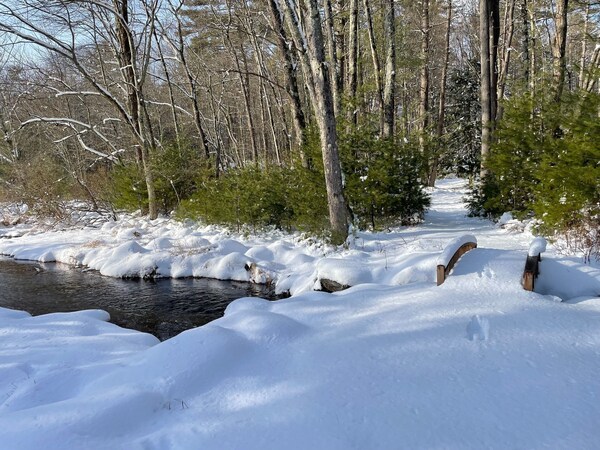 2 Lake Cabins Pool Hottub Game Room 23acs - Highland Lake, NY