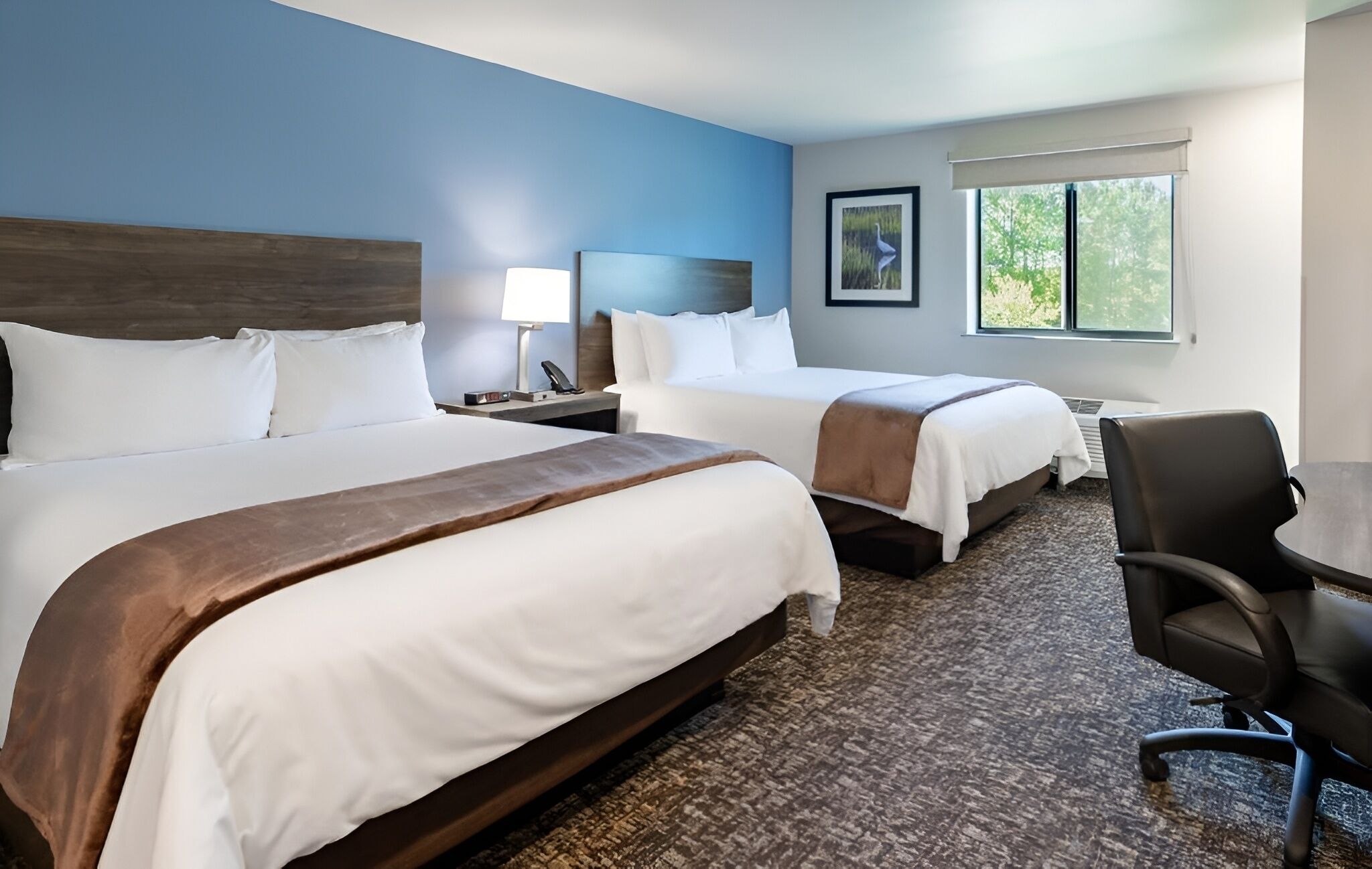 Family-friendly Room Near Lejeune Memorial Gardens And Jacksonville Mall - Jacksonville, NC