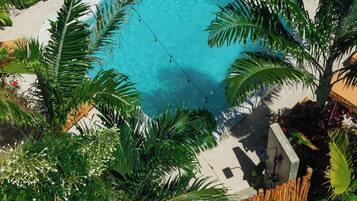 Piscina rodeada por vegetação exuberante, com vista clara para a água e plantas ao redor.