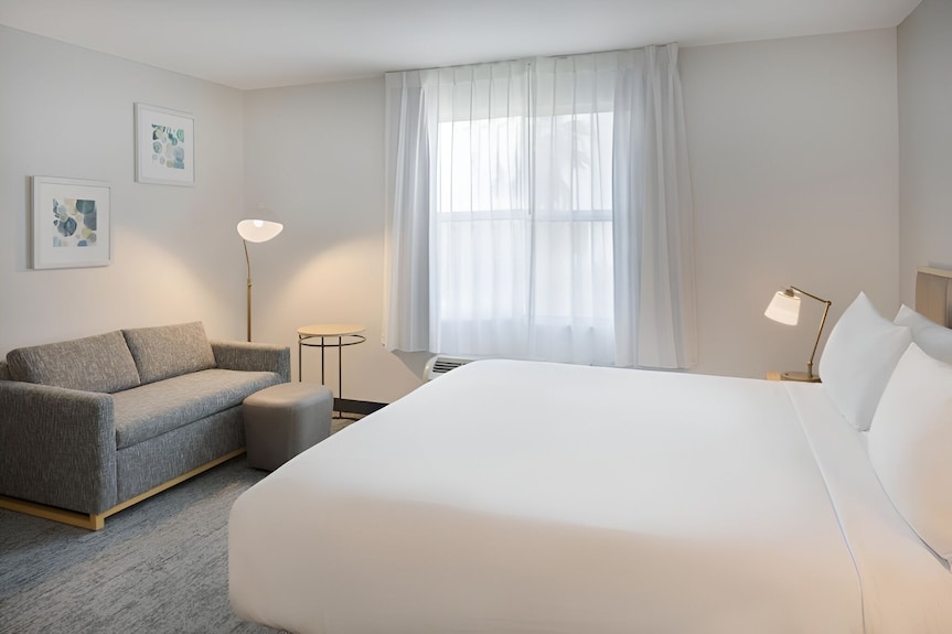 Suite With Kitchen And Free Shuttle To Tampa Airport - Near Major Hotspots! - Tampa