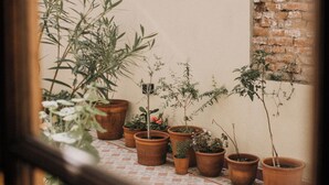 Arranjo de plantas em vasos sobre um chão de azulejos, com parede de tijolos ao fundo.