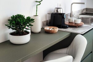 Uma bancada de cozinha com uma planta em vaso, uma cafeteira e uma tigela de ovos.