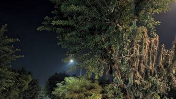 Estacionamento grátis