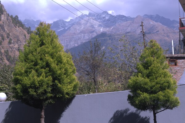 Woodward 2 By 4wildflower - Kasol
