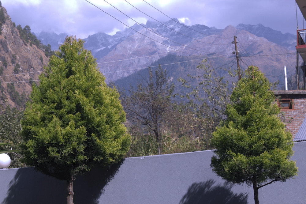 Woodward 2 By 4wildflower - Kasol