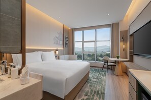 Quarto Individual Superior, Vista para a cidade | Vista do quarto