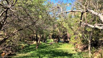 Apartamento, fumadores | 2 quartos