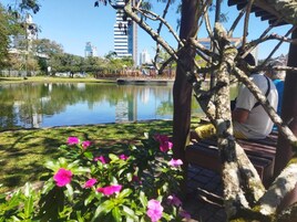 Um parque com lago, bancos e flores cor-de-rosa.