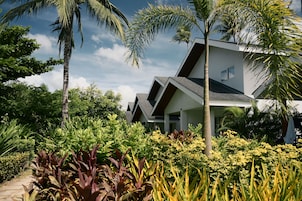 Vista para o jardim