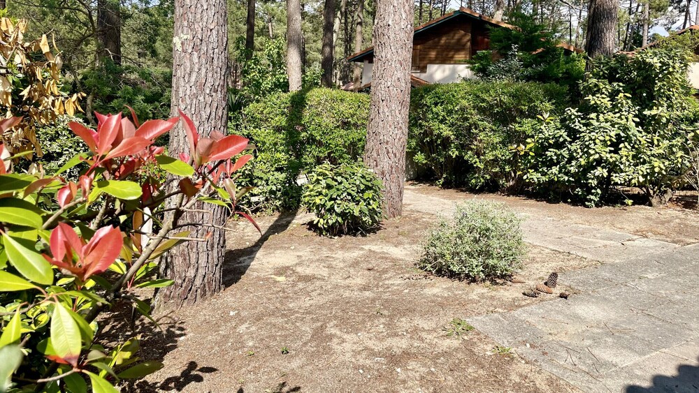 Small house with private garden & pool Reviews, Deals & Photos 2025 - Vrbo