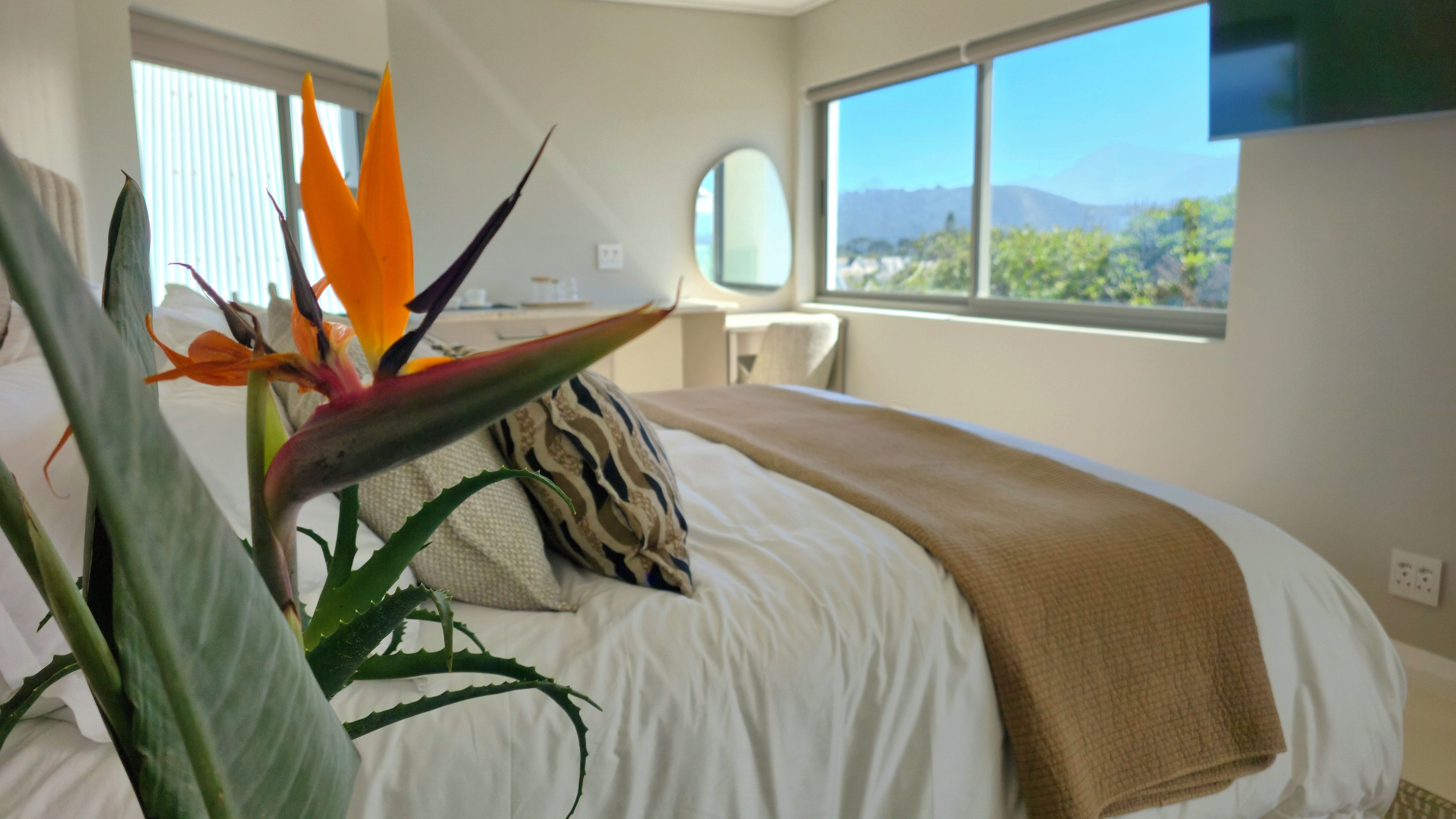 Quarto de hotel com cama, uma janela grande e uma planta com flores laranjas.