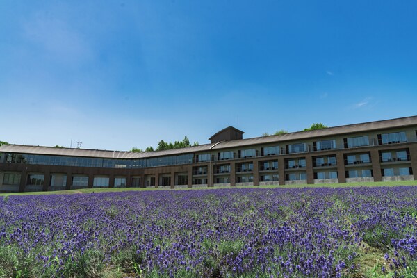 Furano Hotel - Furano