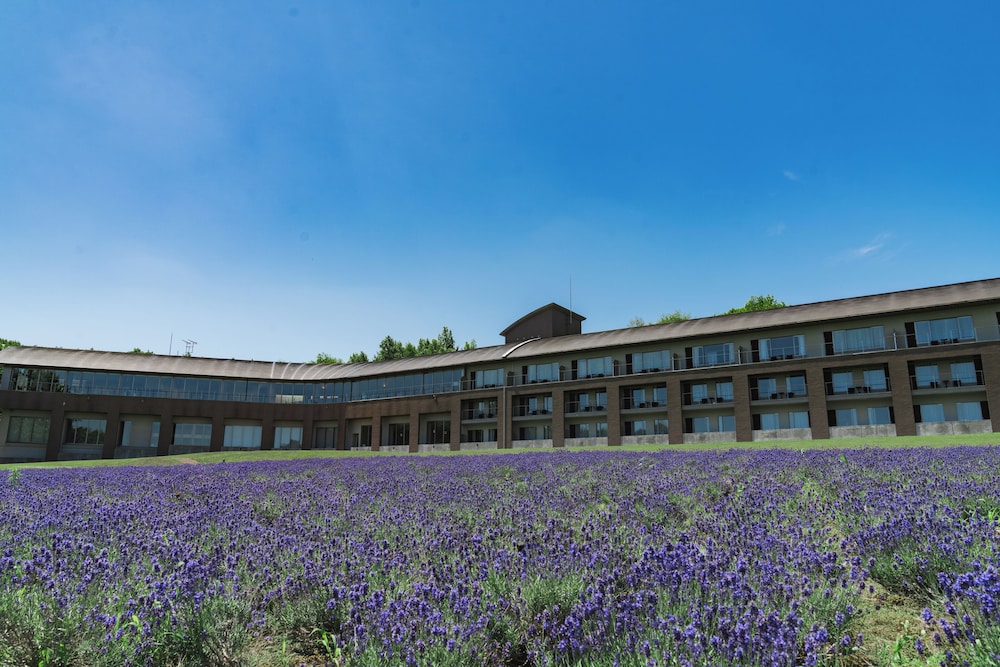 Furano Hotel - Furano