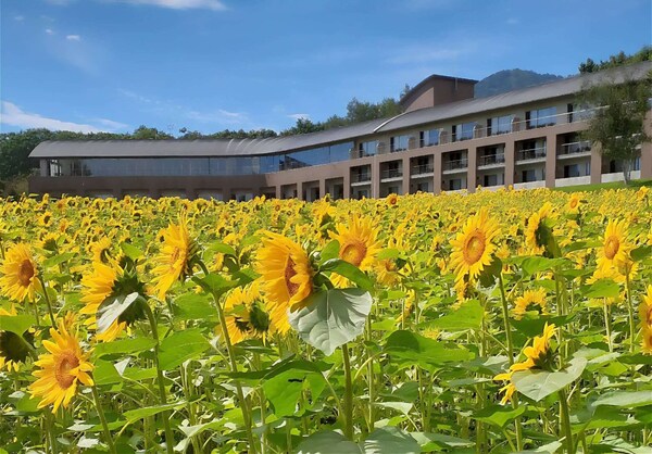 Furano Hotel - Furano