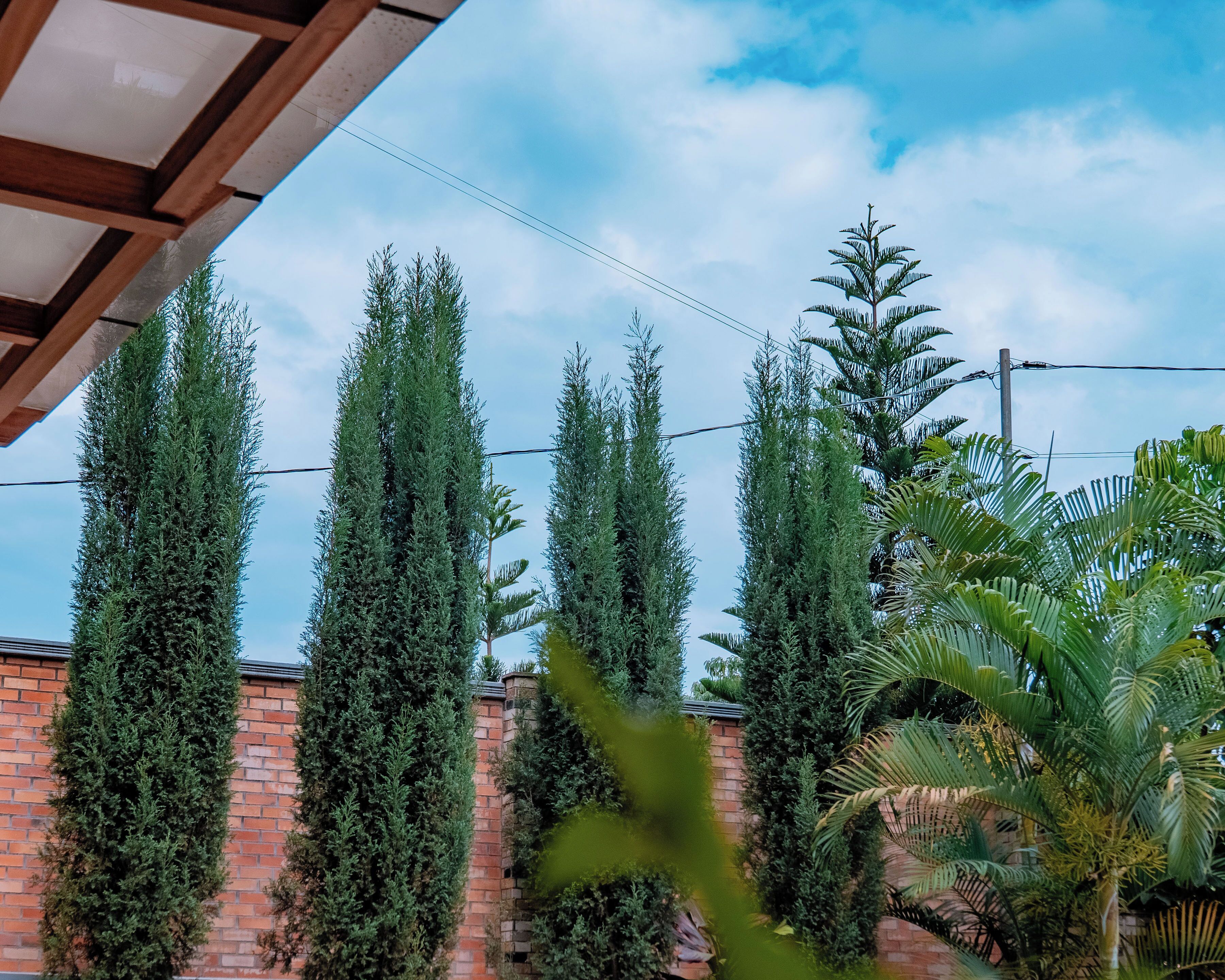 Pormenores do exterior