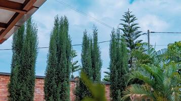 Pormenores do exterior