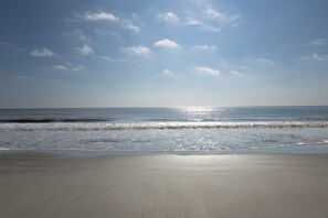 1D Beachwood @ Forest Beach | Oceanfront | Community Pool | Prime ...