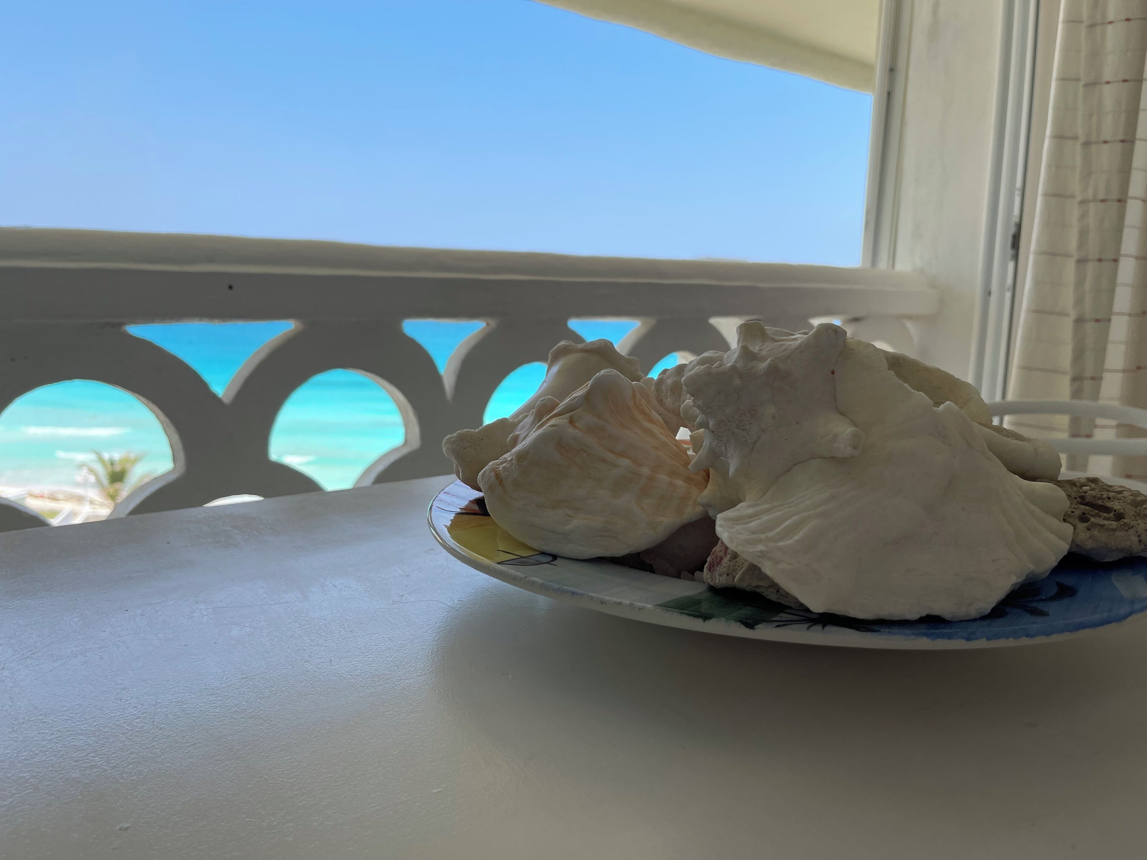 Uma mesa com um prato de conchas e vista para o oceano através de uma janela com guarda-corpo de varanda branco.