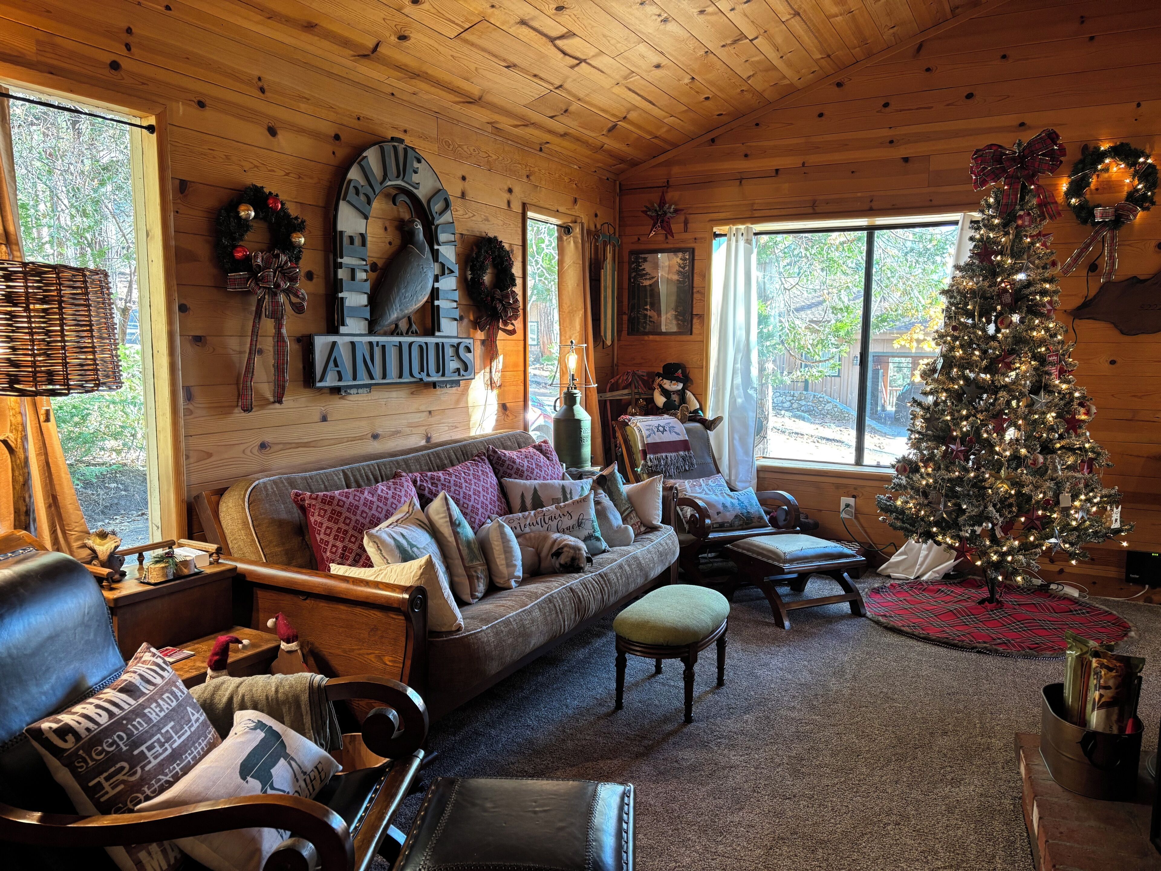 Quiet Family-friendly Home With A View Near Hiking Trails In Idyllwild-pine Cove - Idyllwild-Pine Cove, CA