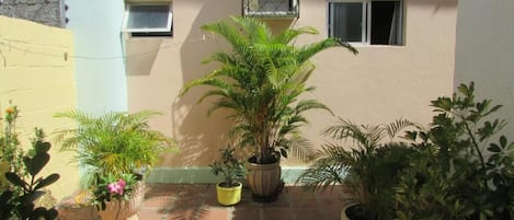 Terrenos do alojamento