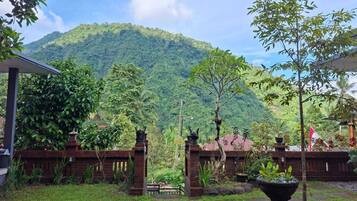 Vista para a montanha