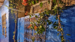 Parede azul com portão de metal, plantas em vasos e cerca de bambu.