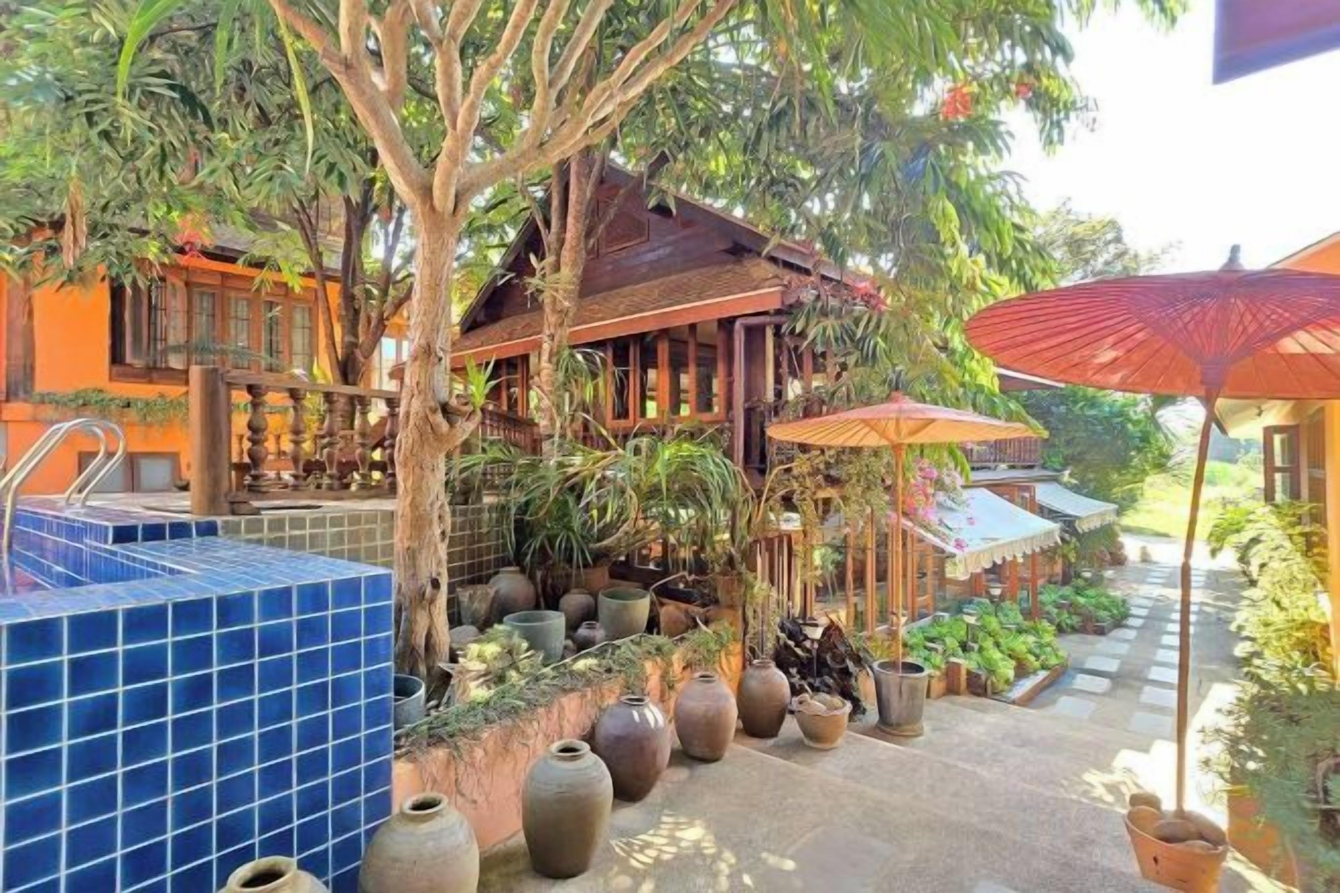 Pátio com piscina, plantas em vasos e estrutura de madeira.