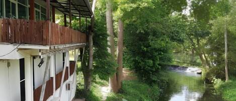 Jardim