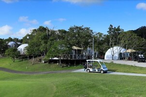 Carrinho de golfe em um caminho pavimentado, com área gramada e árvores ao fundo.