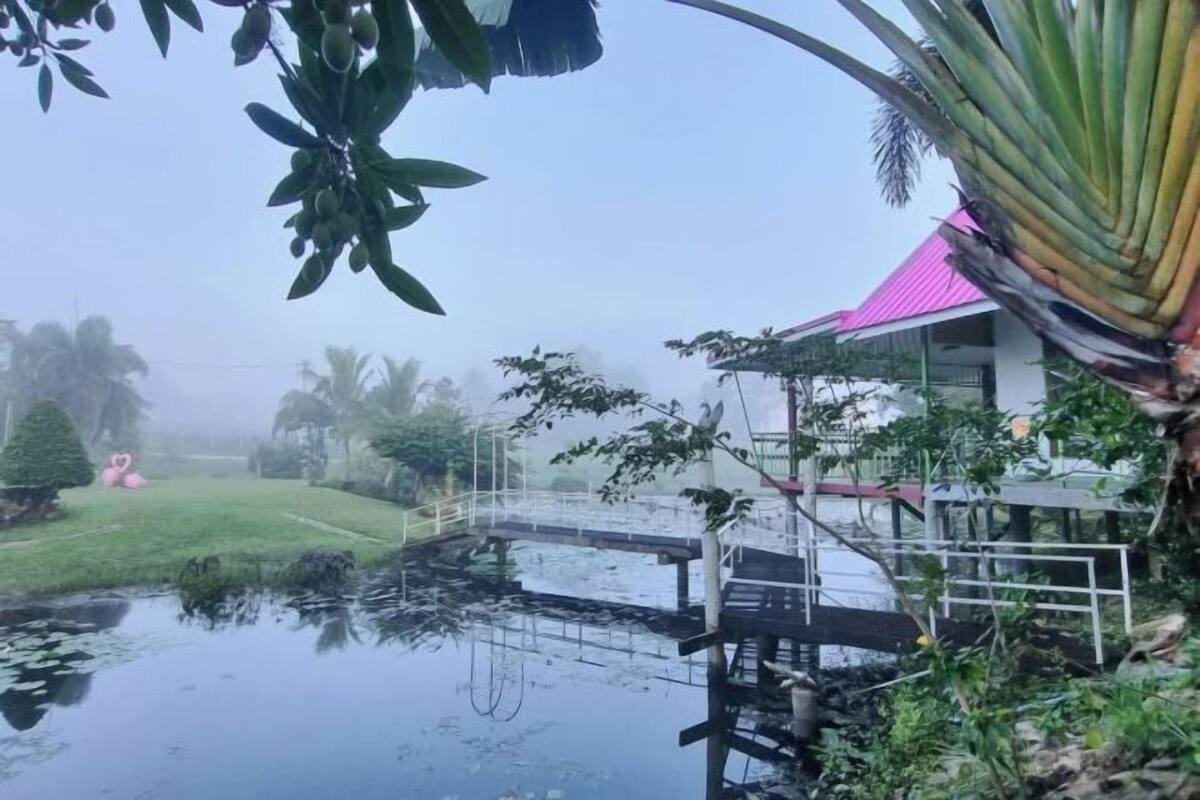 Uma área externa tranquila com um lago, um píer de madeira e uma construção com telhado rosa.