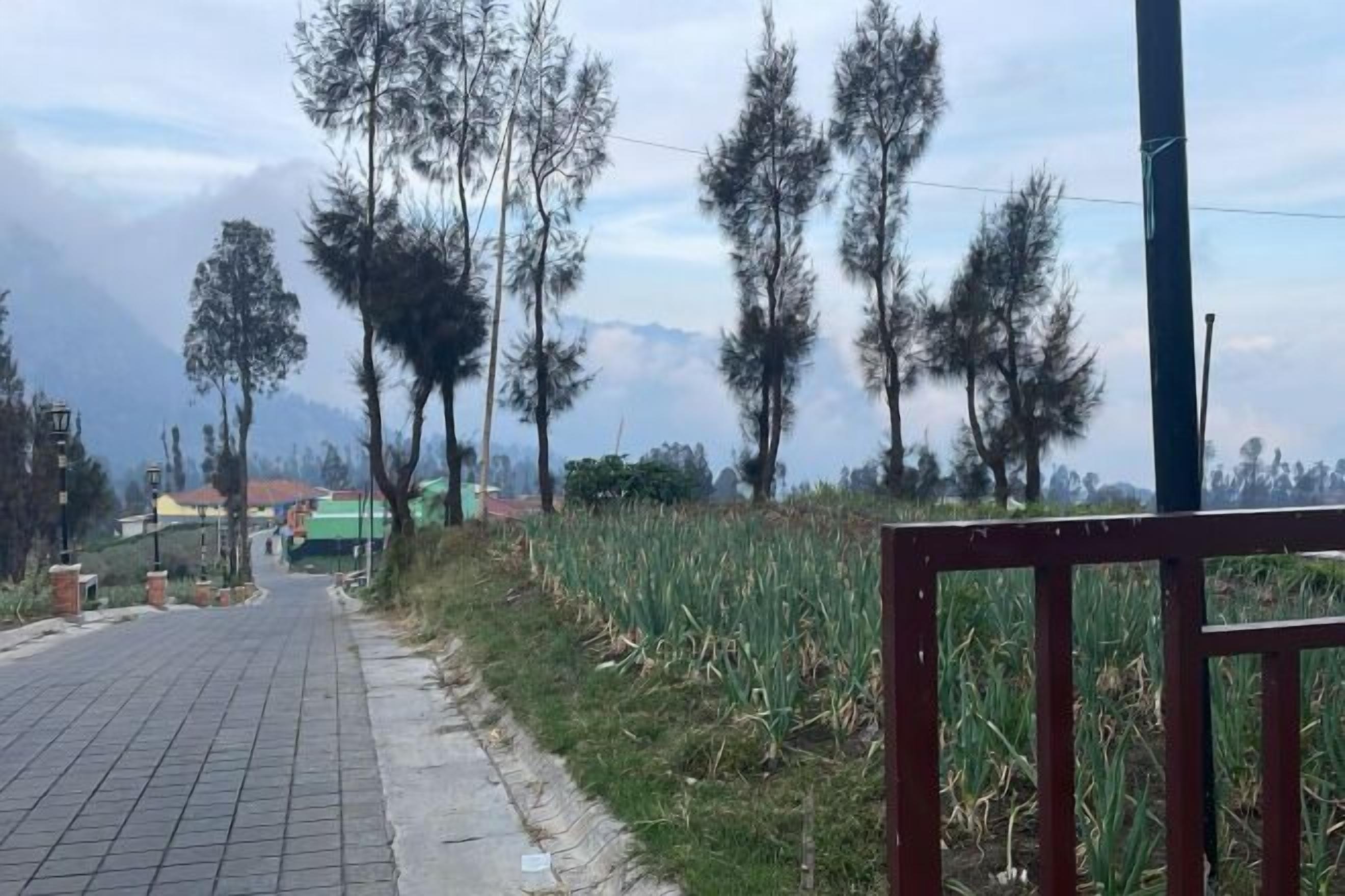 Terrenos do alojamento