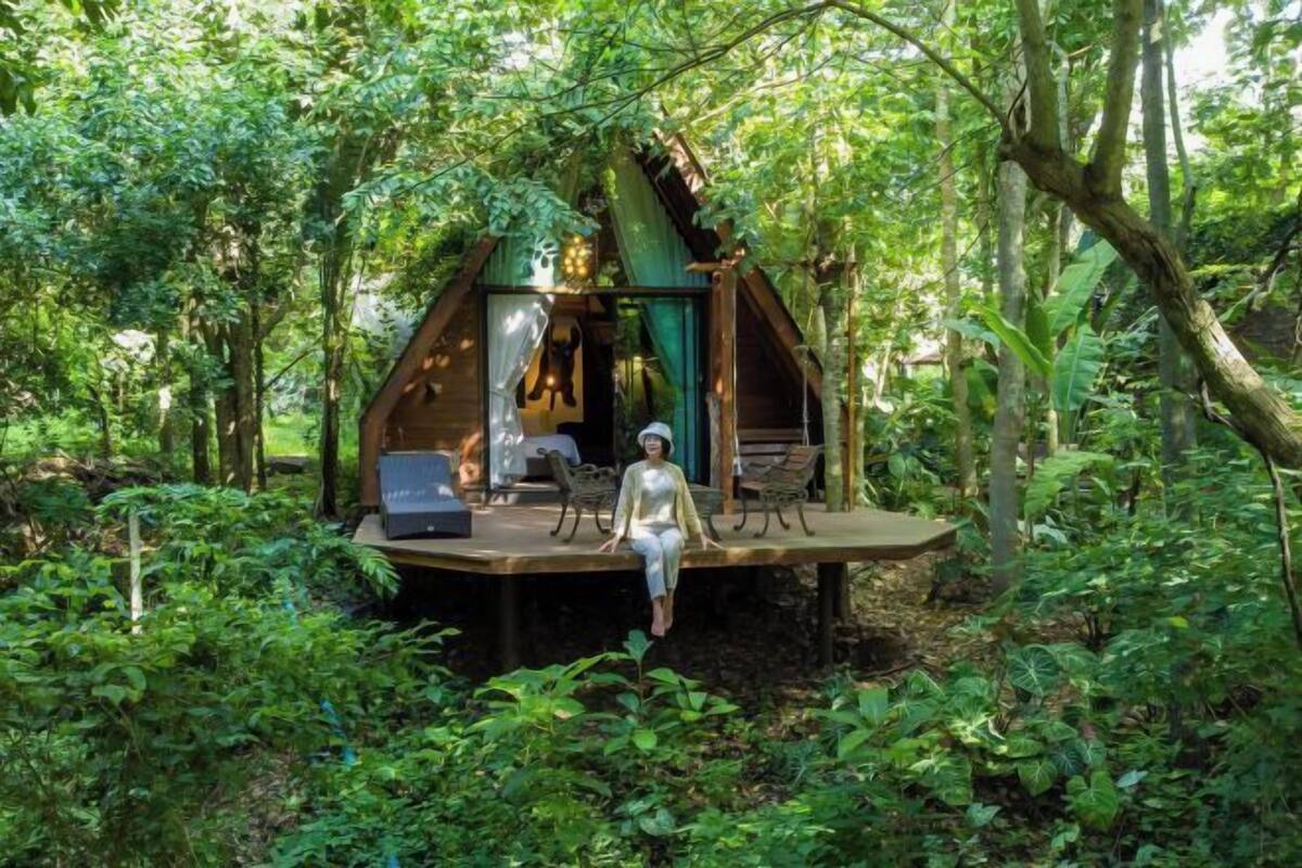 Terrenos do alojamento