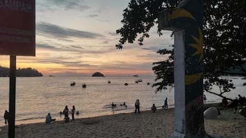 Uma praia com um sinalizador e uma árvore.