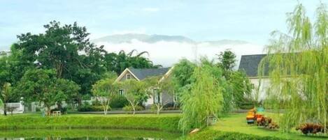 Área da propriedade