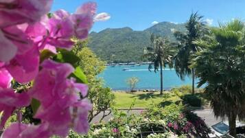 Terrenos do alojamento