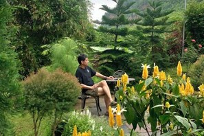 Uma pessoa sentada em uma cadeira em um jardim com diversas plantas e flores.