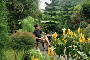 Terrenos do alojamento