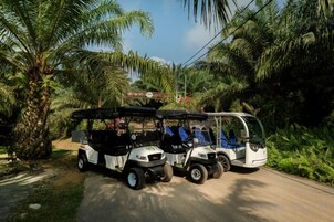 Dois carrinhos de golfe estacionados em uma estrada, com palmeiras ao fundo.