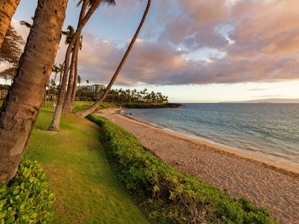 Wailea Elua Village 1607 - 3 Bedroom Oceanfront Condo Reviews, Deals ...
